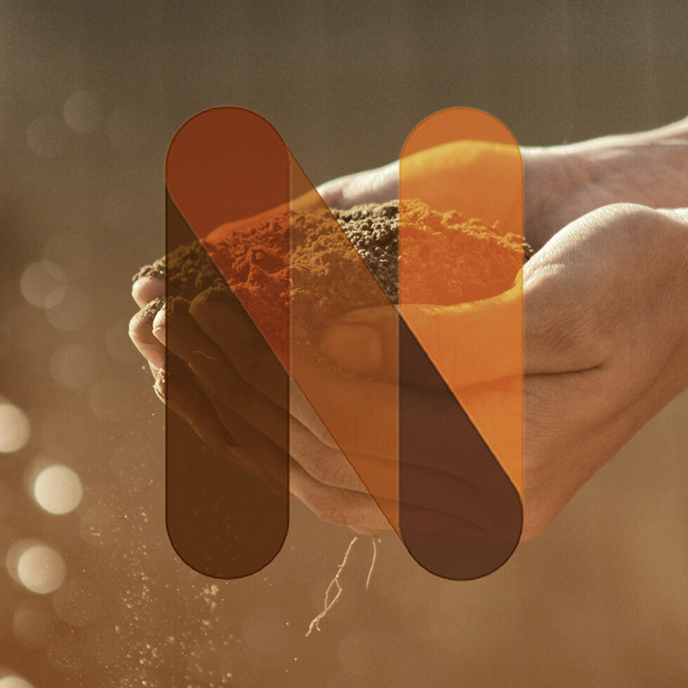 Home - Nextgreen Fertilizer